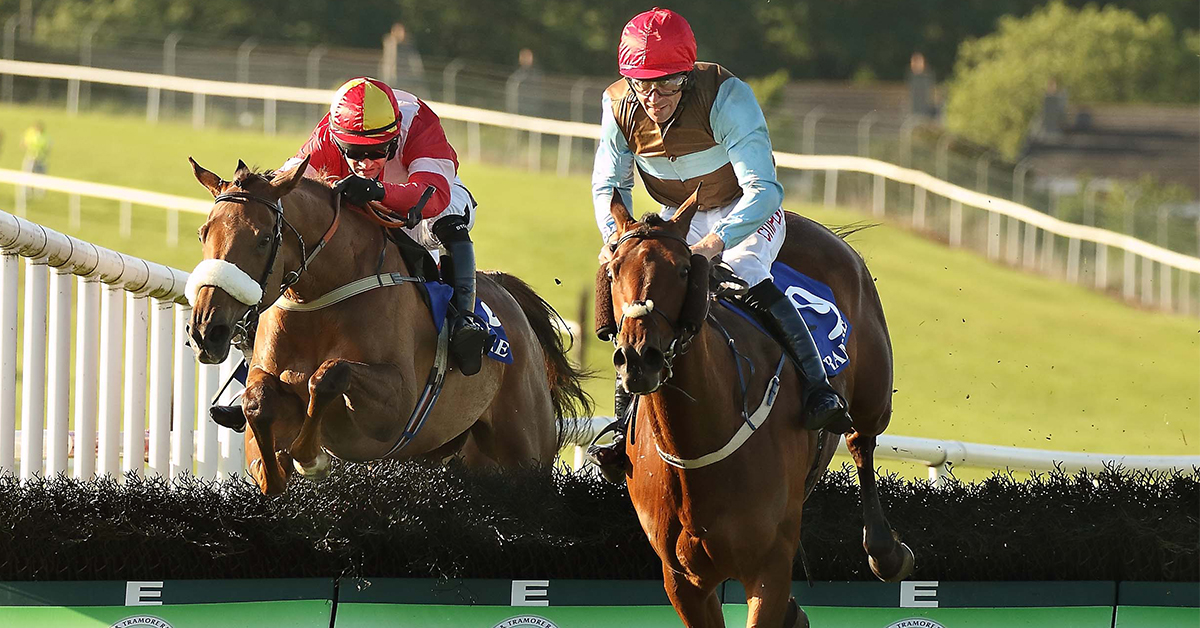 Tramore - A Guide To Irish Racecourses - Betadvisor