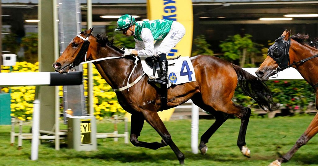 Assessing runners in class four handicap turf races. - Betadvisor